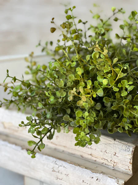 Baby's Grass Half Sphere – The Cotton Mill Mercantile