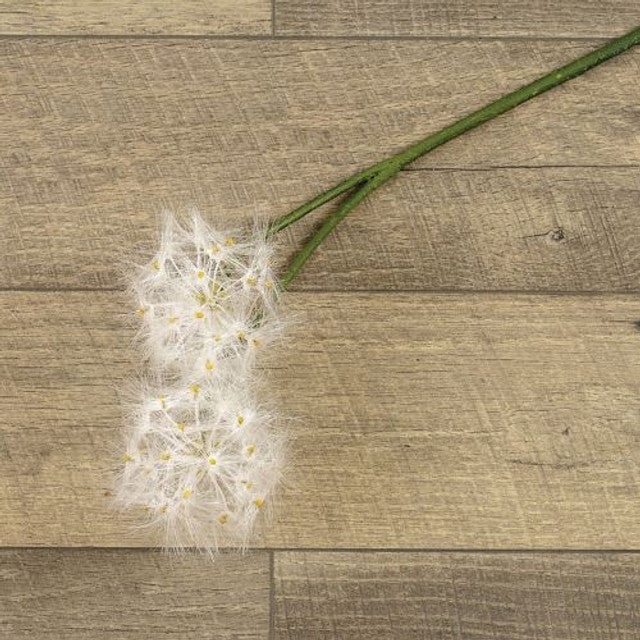 Dandelion Spray – The Cotton Mill Mercantile