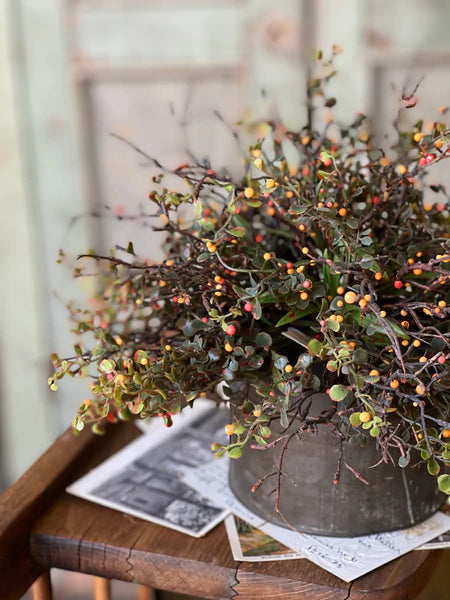 Petite Bittersweet Half Sphere – The Cotton Mill Mercantile