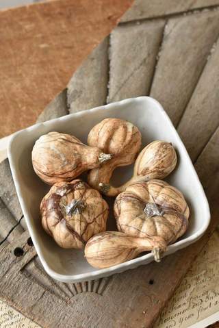Bagged Goshen Gourds (6pcs) – The Cotton Mill Mercantile